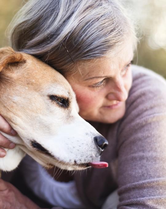 RESPONSIBLE PET SITTERS - Cape Town - From ZAR 139.00 per day*